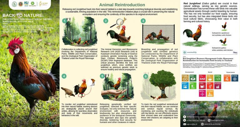 Siam Chicken Bioresource Project: SCBP